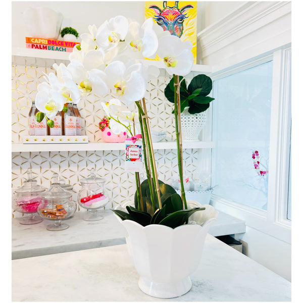 Mirabelle 10” Beaded Vase & 11.5” Fluted Cachepot - James Ascher